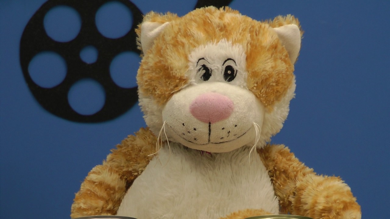 Mr. Beasley with Georgie awesomeness - YouTube