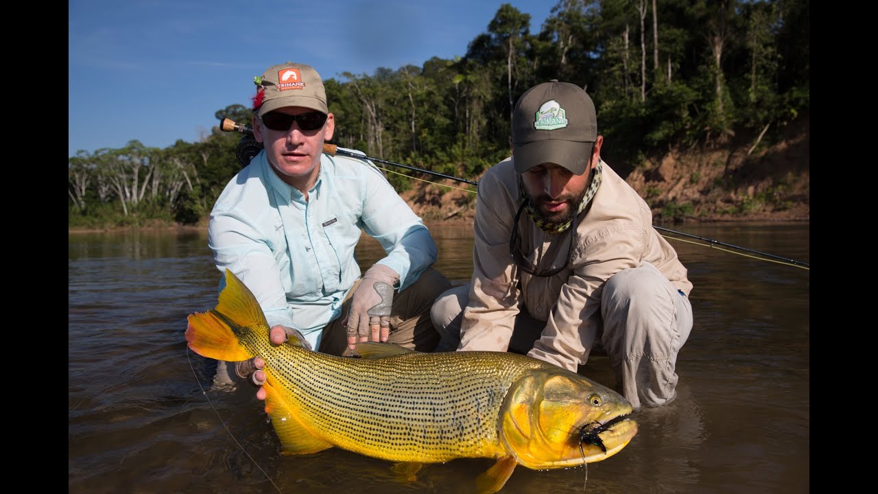 Monster Dorado, Catfish & Pacu in Bolivia-Tsimane - YouTube