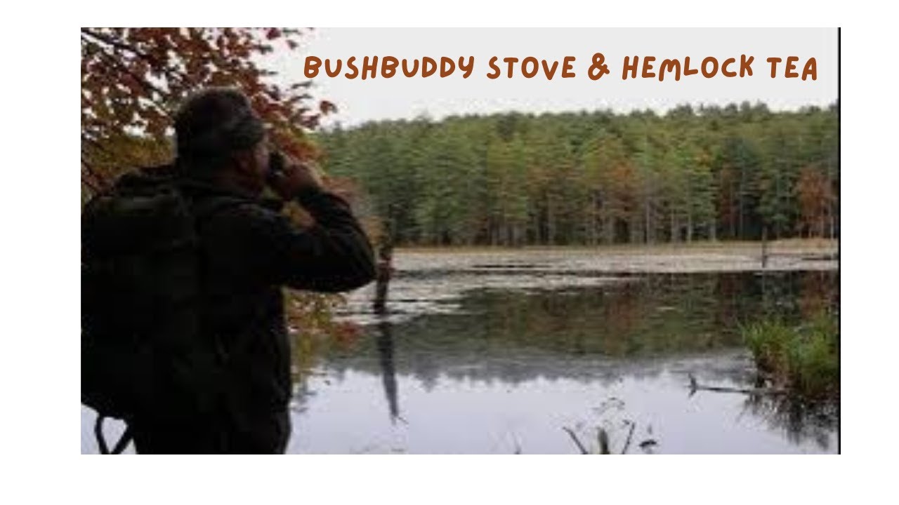 Bushbuddy Stove & Hemlock Tea - YouTube