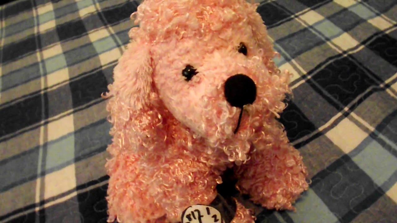 Gretto the actor!! - YouTube