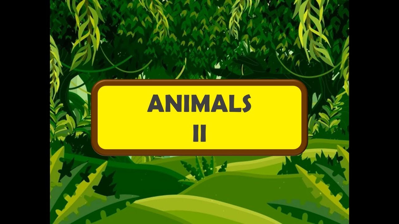 ANIMALS II - YouTube