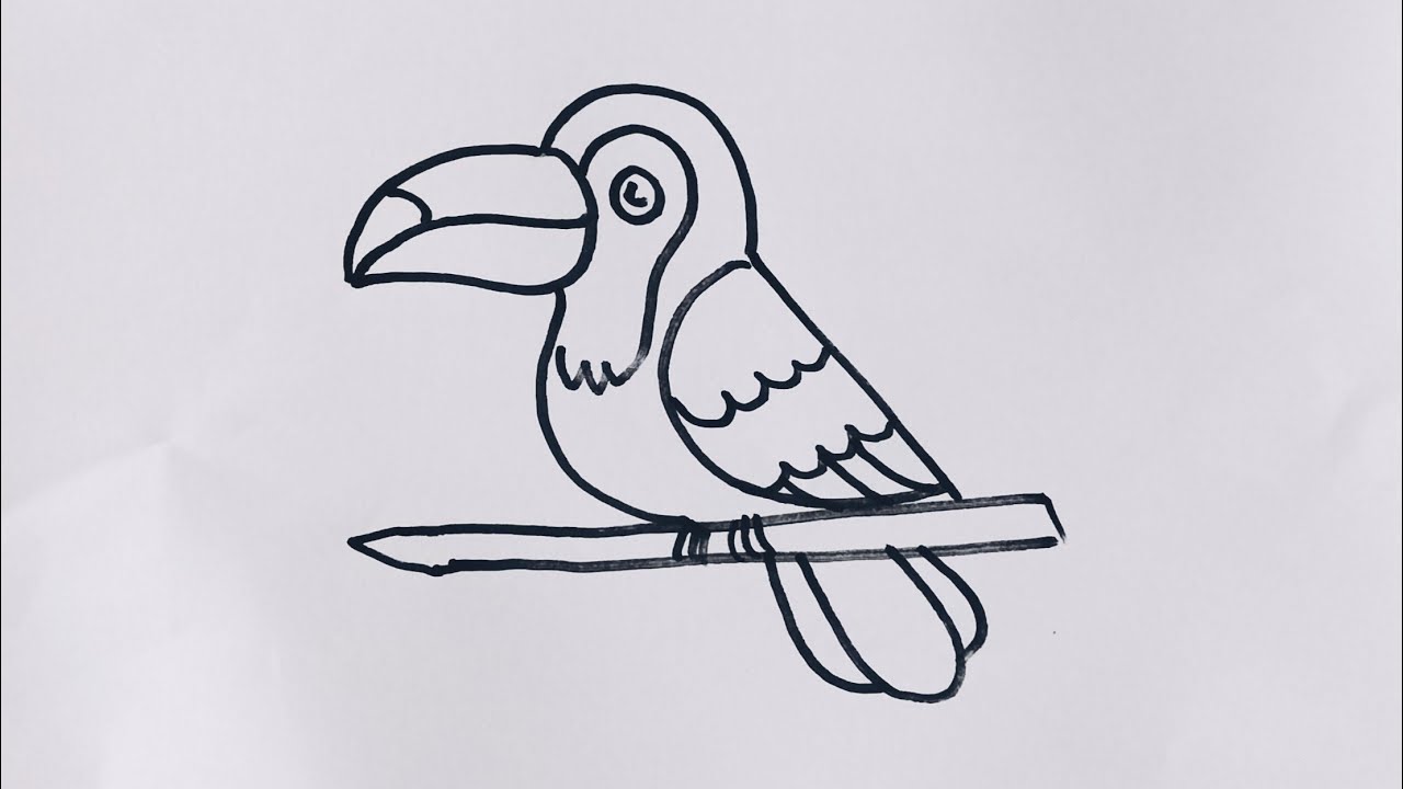 How to draw a Toucan/Bird drawing/Toucan Bird drawing easy step by step ...