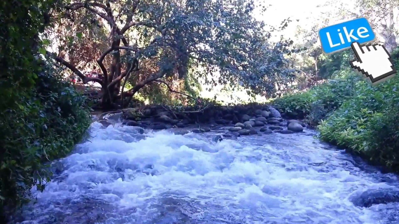 Ríos de Colima, Peñitas en Coquimatlán Colima atractivo turístico para ...