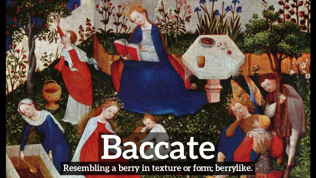 How Does Baccate Look? | What is Baccate? | How to Say Baccate in ...
