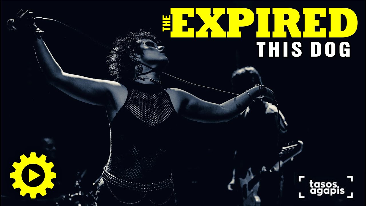 The EXPIRED punk band - This Dog [ Live 16/9/2022 @8ball Thessaloniki ...