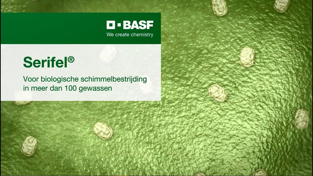 Fungicide Serifel toepasbaar in meer dan 100 gewassen - YouTube