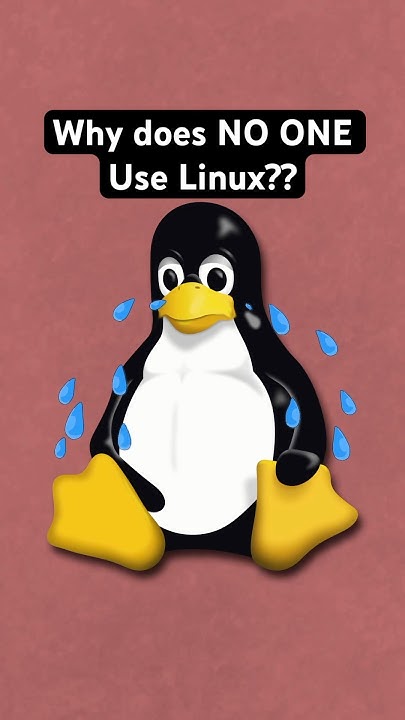 Why does NO ONE use Linux?? - YouTube