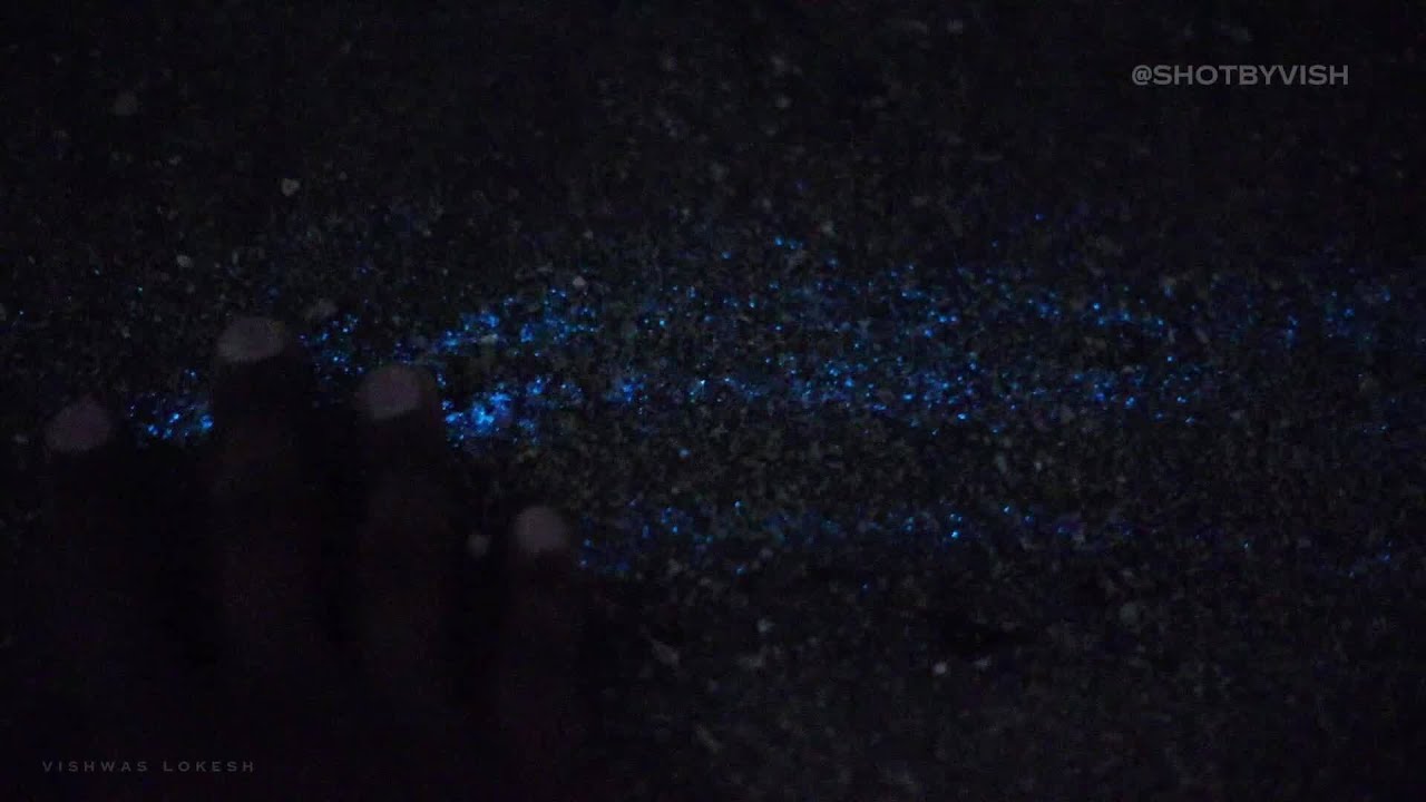 Glowing sand spotted at this San Diego beach - YouTube