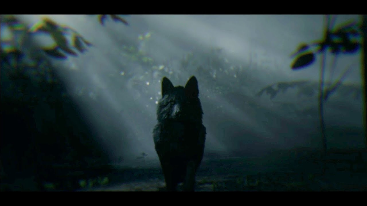 This is Why You Can't Donate to Camp in Chapter 6 - RDR2 - YouTube