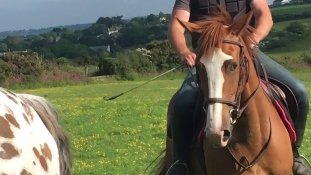 Jiggy's first jump - YouTube