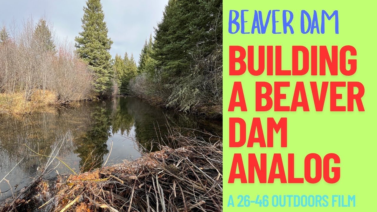 Beaver Dam: Creating a Beaver Dam Analog - YouTube