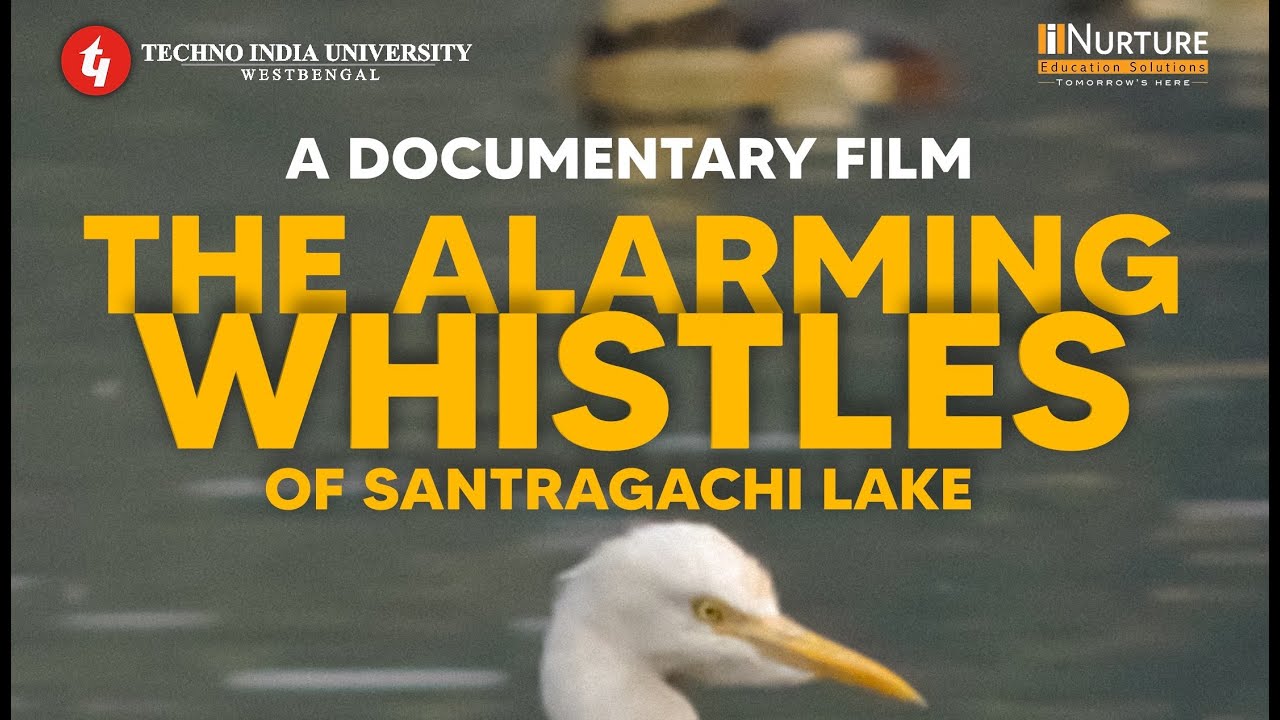The Alarming Whistles of Santragachi Lake | Documentary Film | BFA-DFM ...