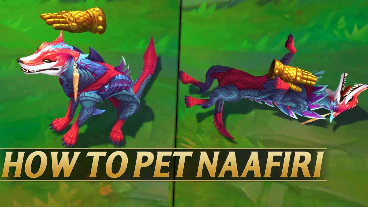 HOW TO PET NAAFIRI - Infinite Pets - League of Legends - YouTube