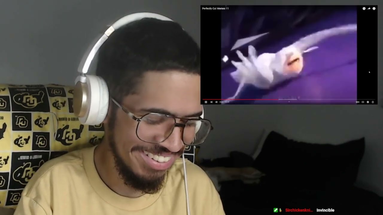 Finally Some Memes That Are Actually Funny - YouTube