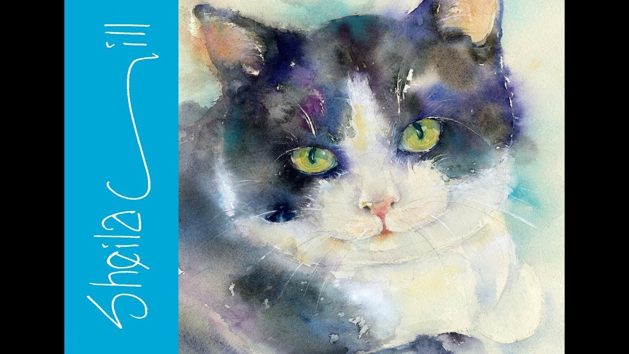 My Watercolour Cat Paintings by Sheila Gill - YouTube