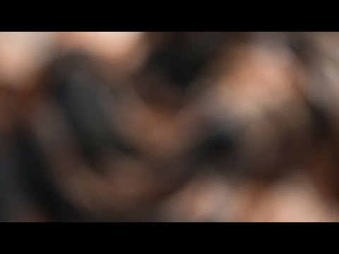 4K Micro Bikini Try -On Haul Transparent |Transparent Lingerie & See-through style #7 