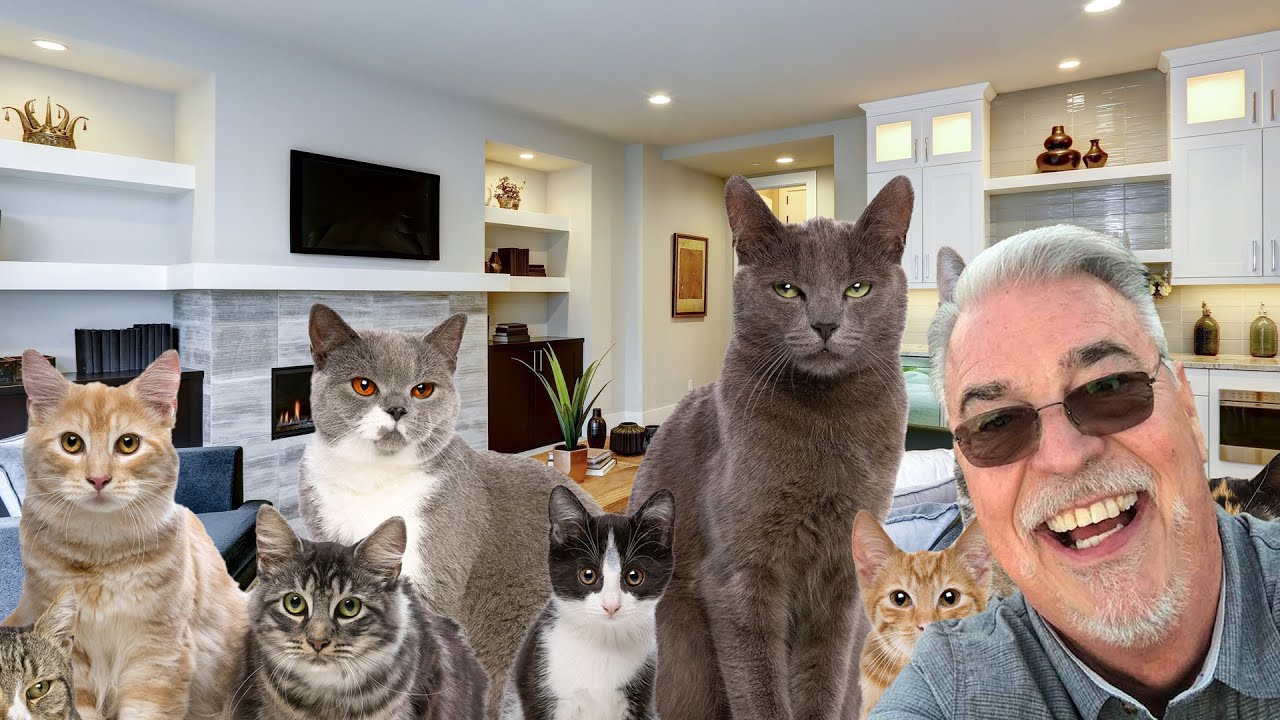 Lamar's Cat Sitting Nightmare | Fun Size - YouTube