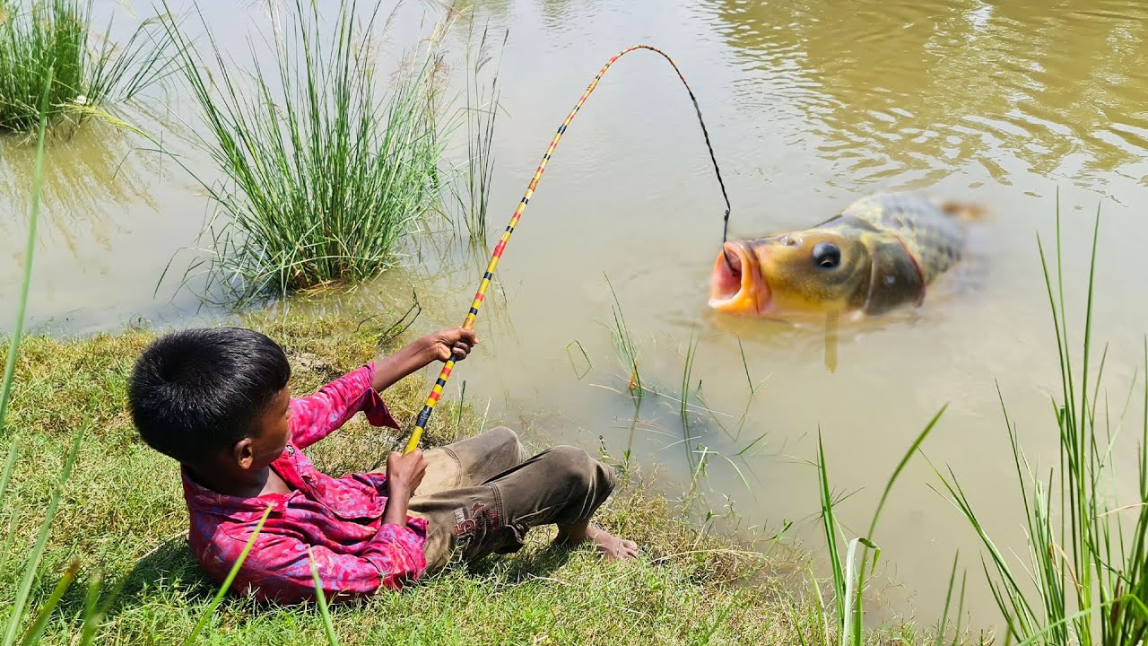 New Best Hook Fishing Video | Traditional Fish Catch With Hook in River ...