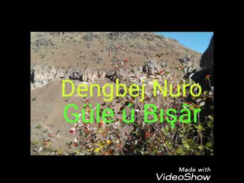 Dengbej Nuro Güle ú Bışar