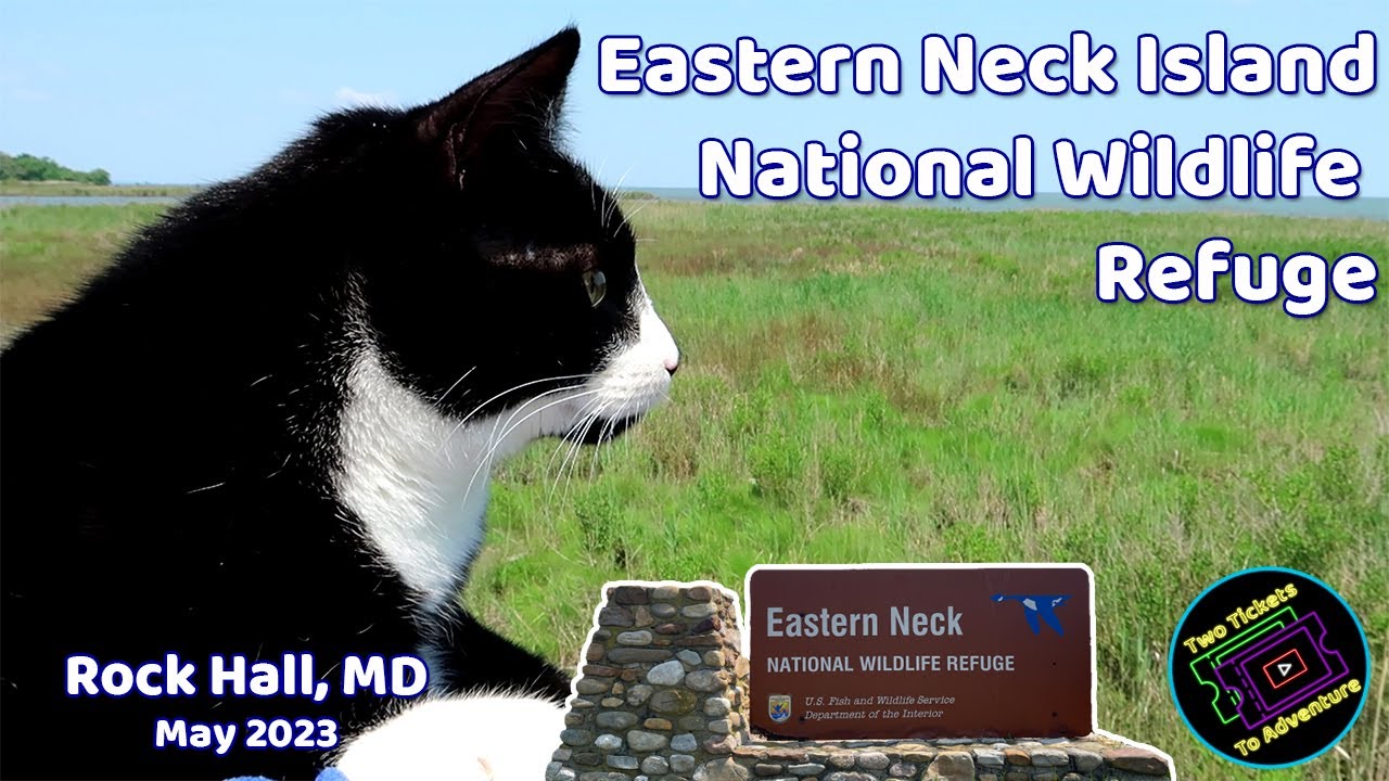 Eastern Neck Island National Wildlife Refuge | Rock Hall, MD | May 2023 ...