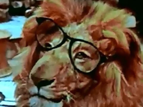 Clarence The Cross-Eyed Lion Movie Trailer - YouTube