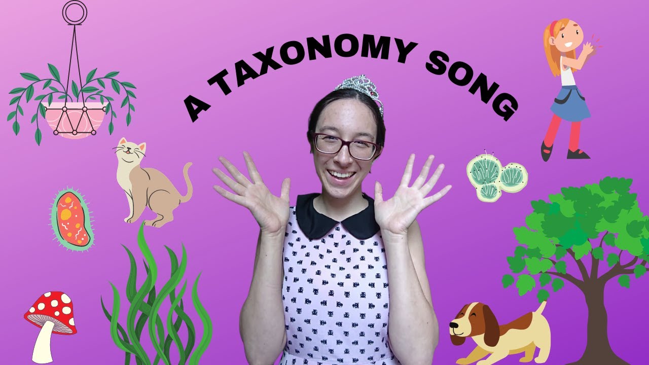 A Taxonomy Song (King Phillip Claps Often For Good Science) - YouTube