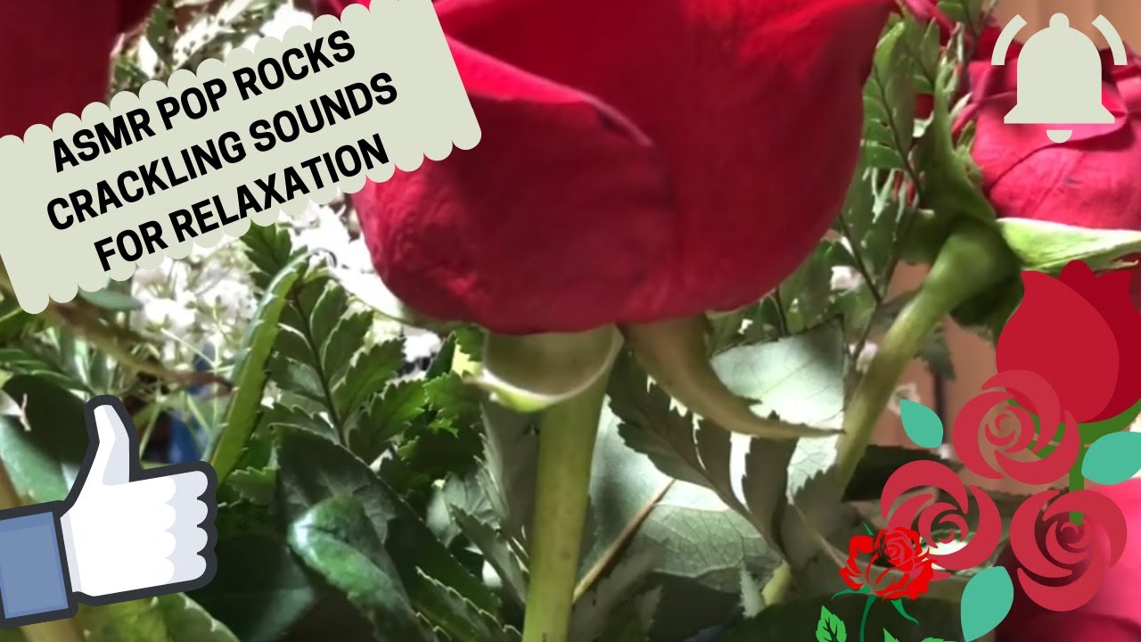 ASMR POP ROCKS CRACKLING SOUNDS FOR RELAXATION | ASMR with Analyn - YouTube