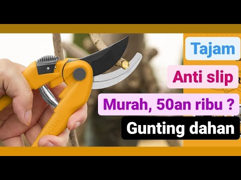 Gunting Dahan INGCO HPS0109 Prunning Shears 8 Inch - YouTube