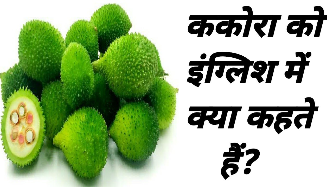 ककोरा को इंग्लिश में क्या कहते हैं | kakora ko english mein kya kahate ...