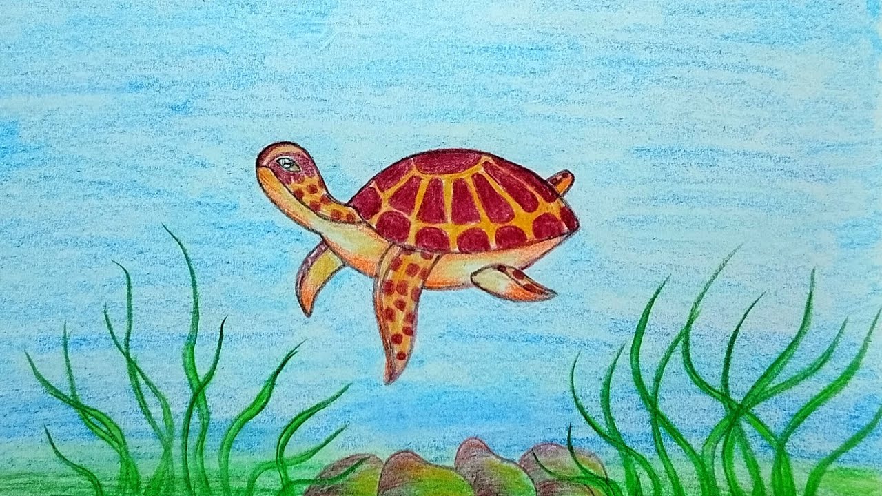 Turtle In Water Drawing