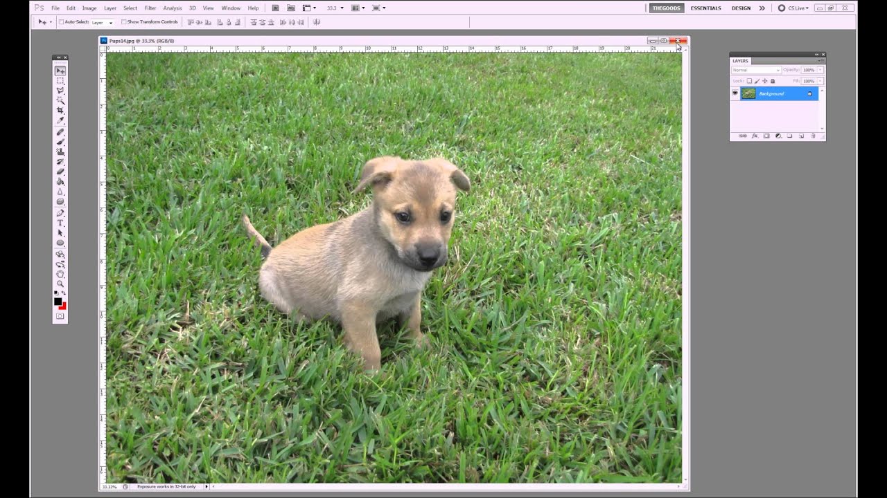 Beginning Adobe Photoshop - How to Open up Files - YouTube