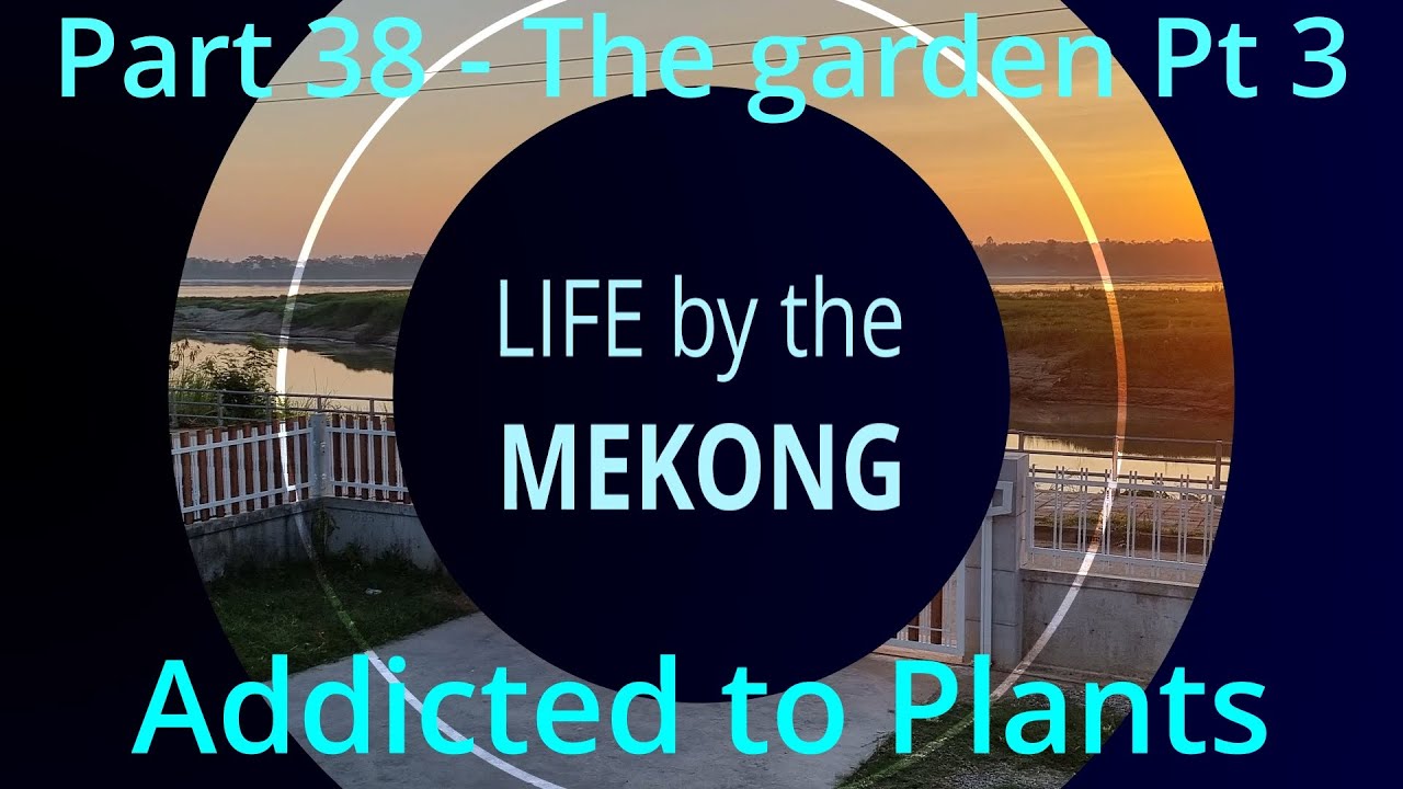 Building a house in Thailand - Part 38 - Addicted to Plants - YouTube