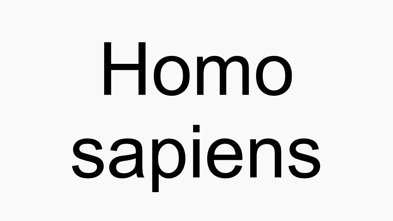 How to pronounce Homo sapiens - YouTube