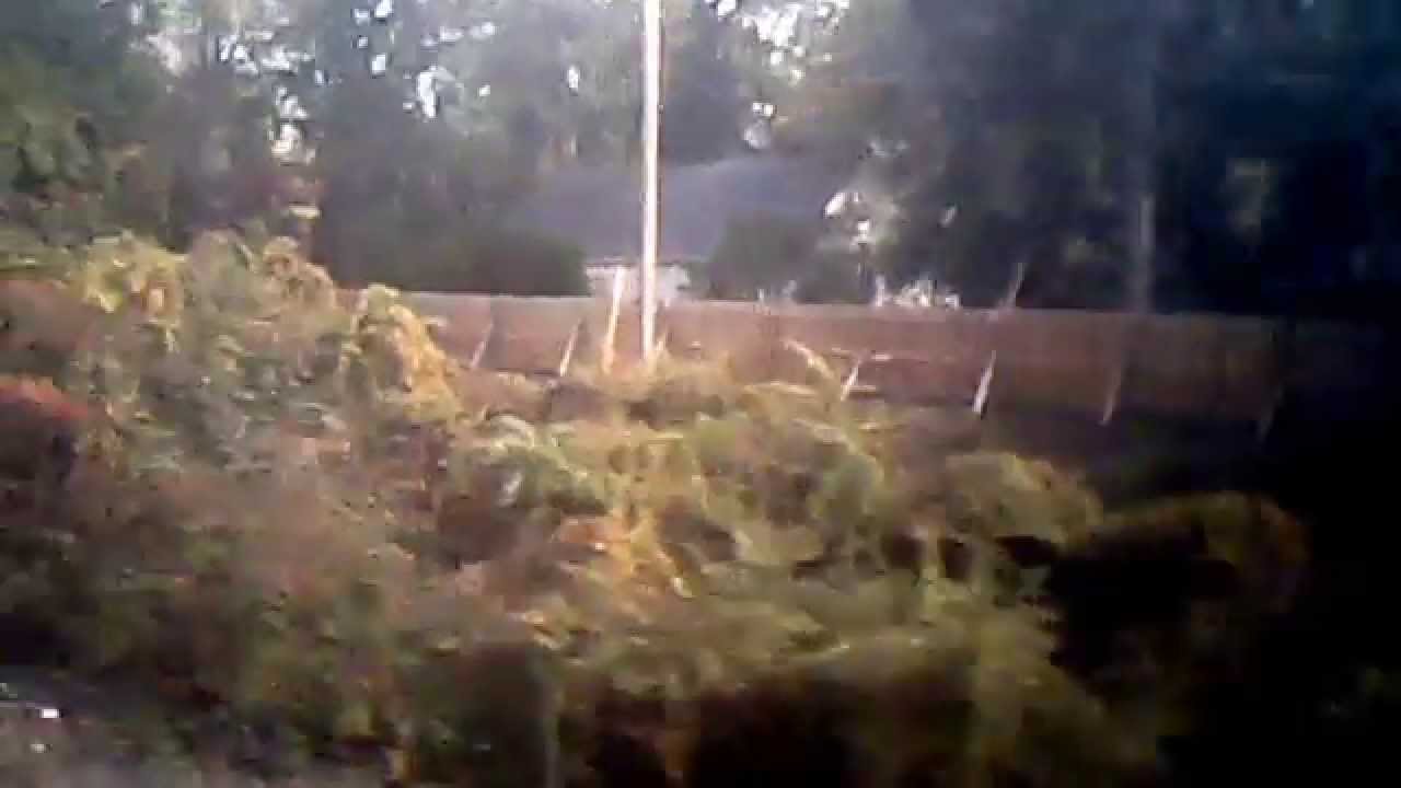 A Ride on Amtrak's Keystone Service Train #643 Westbound - YouTube