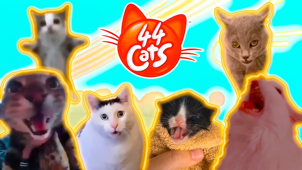 44 GATOS em gatês - YouTube