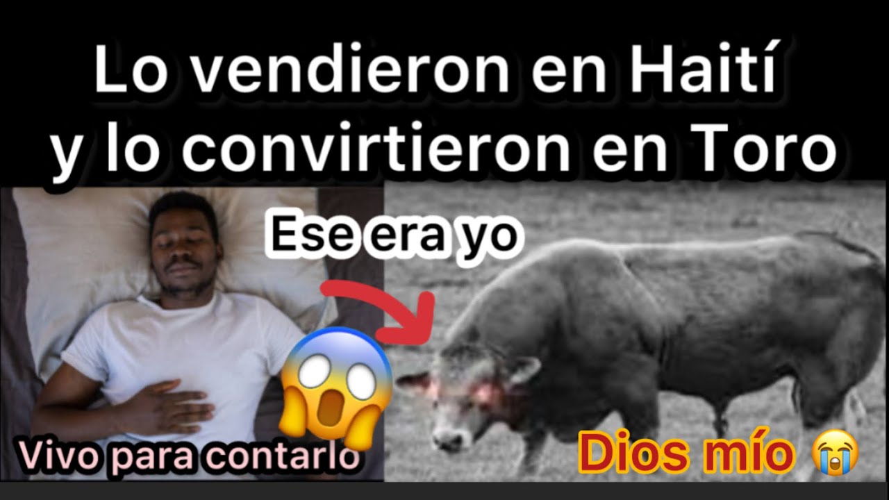 Lo vendieron en Haití y lo convirtieron en Toro🐂😨 vivo para contarlo ...