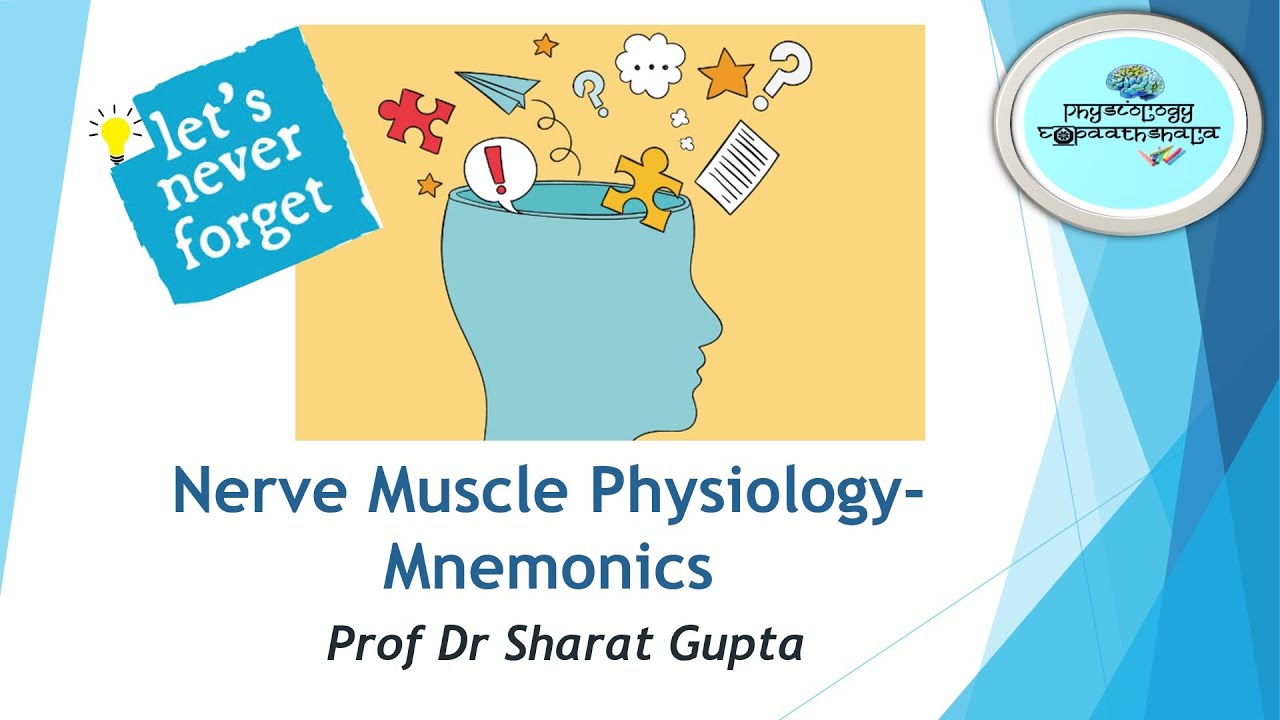 Nerve Muscle Physiology Mnemonics - YouTube