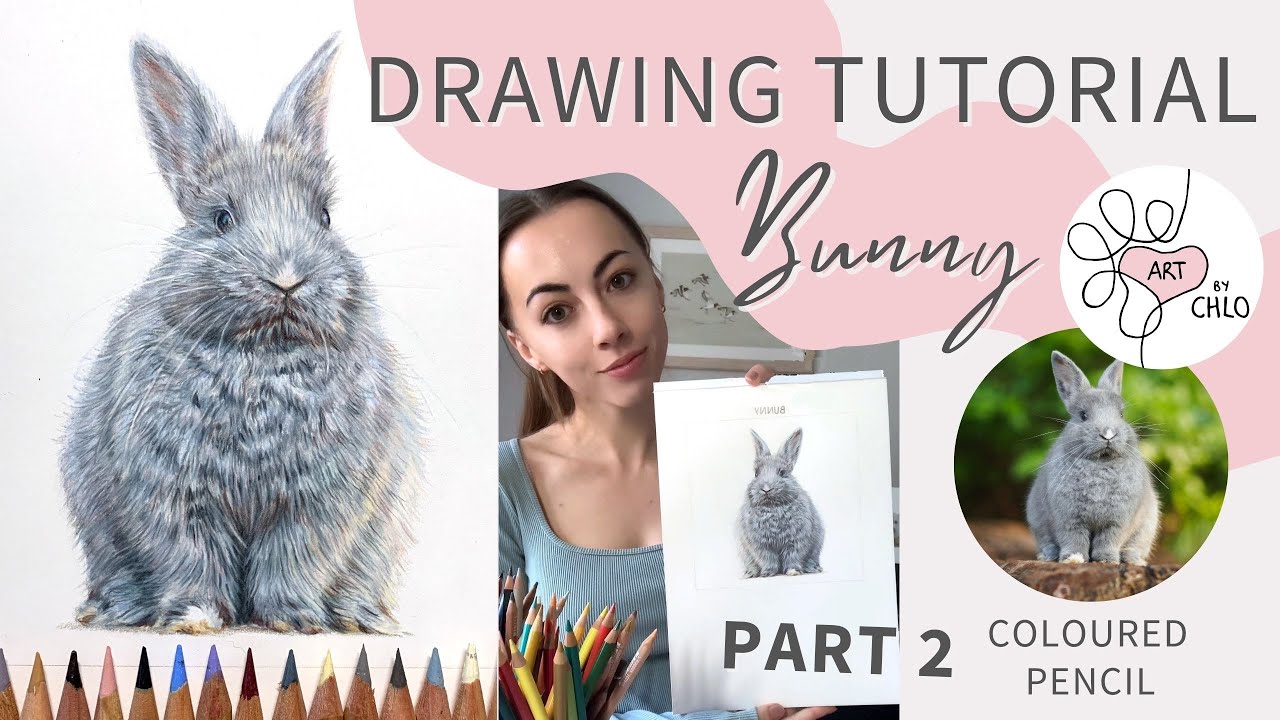 How to Draw a Realistic Bunny with Coloured Pencils | Part 2 | Step-by-Step Real-Time Tutorial ...