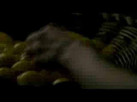 Koku-Bir Katilin Hikayesi (Perfume-The Story of a Murderer)