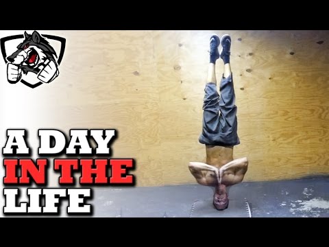 A Day in the Life of Shane Fazen: Home Workout, New House/Dog, Music ...