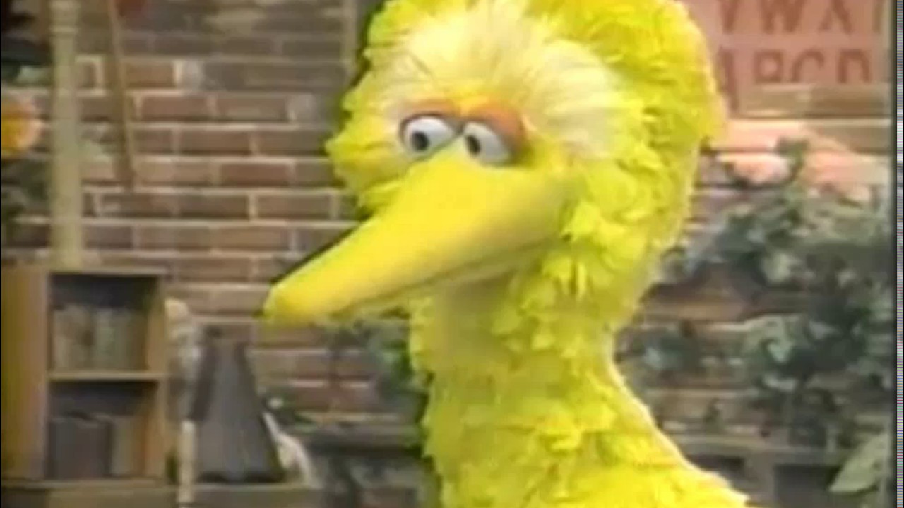 Sesame Street Maria Takes Care Of A Baby Bird at Guadalupe Harshaw blog