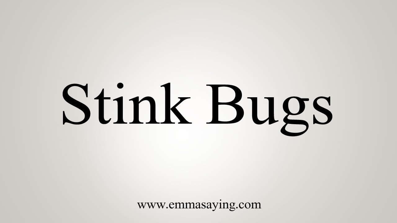 How To Say Stink Bugs - YouTube