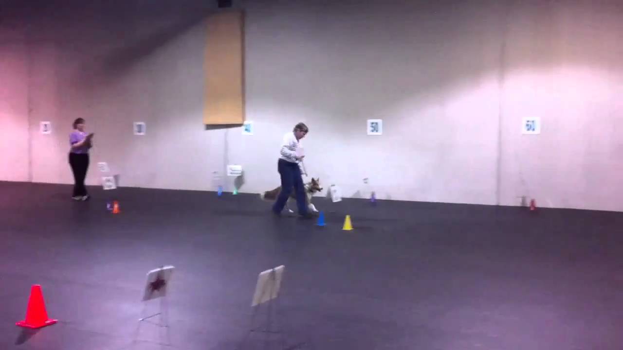 APDT Rally Trial - YouTube