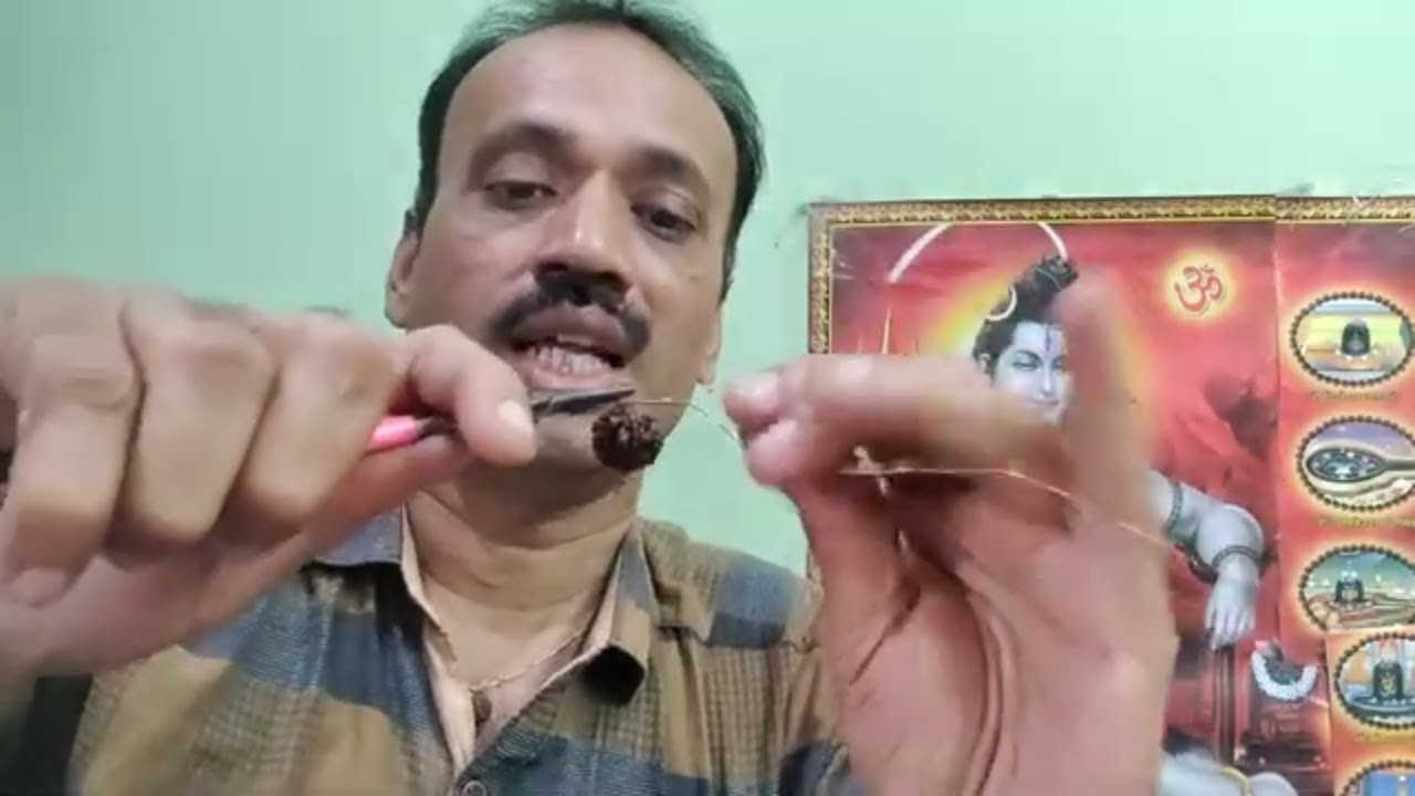 How To Making Rudraksha Home How To Make Rudraksha Pendant Home How To how-to-making-rudraksha-home-how-to-make-rudraksha-pendant-home-how-to