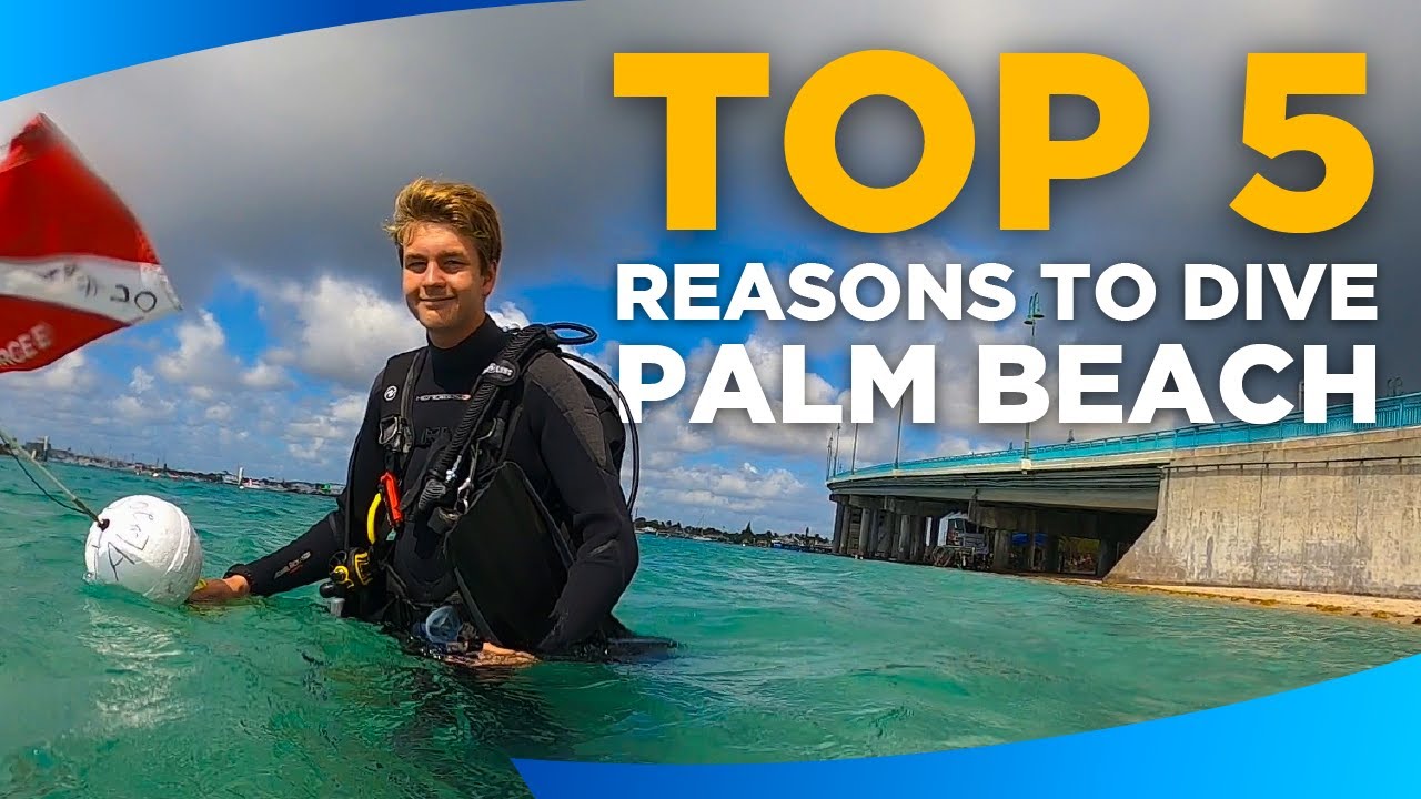 Top 5 Reasons to Scuba Dive Palm Beach - YouTube