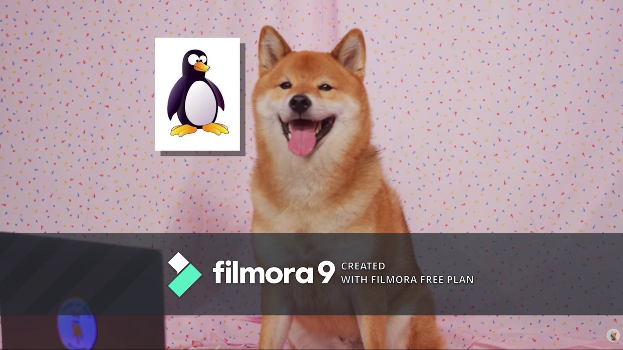 tofu chan says penguin - YouTube