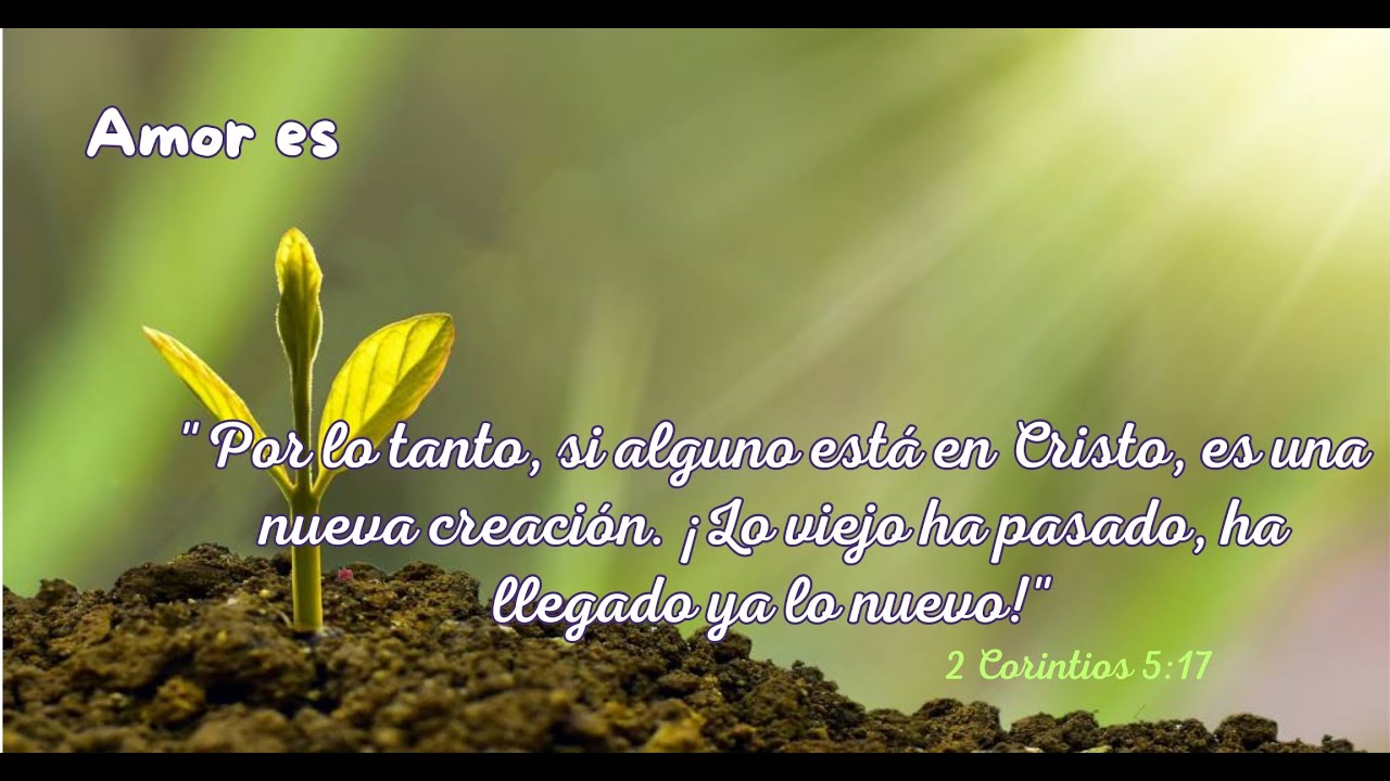 Como ser una nueva persona, Necesito cambiar, Como ser mejor, El Amor ...