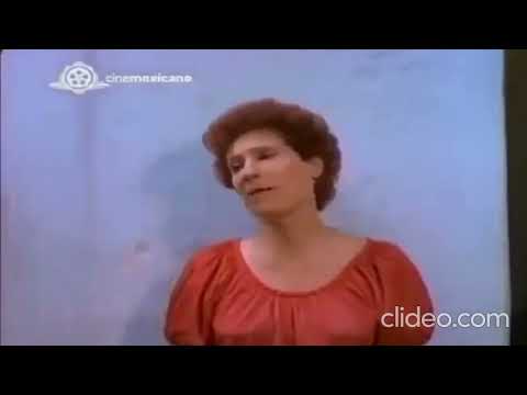 Viaje al Paraiso 1985