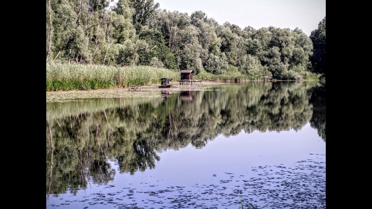 Rijeka Drava i sve oko nje - YouTube