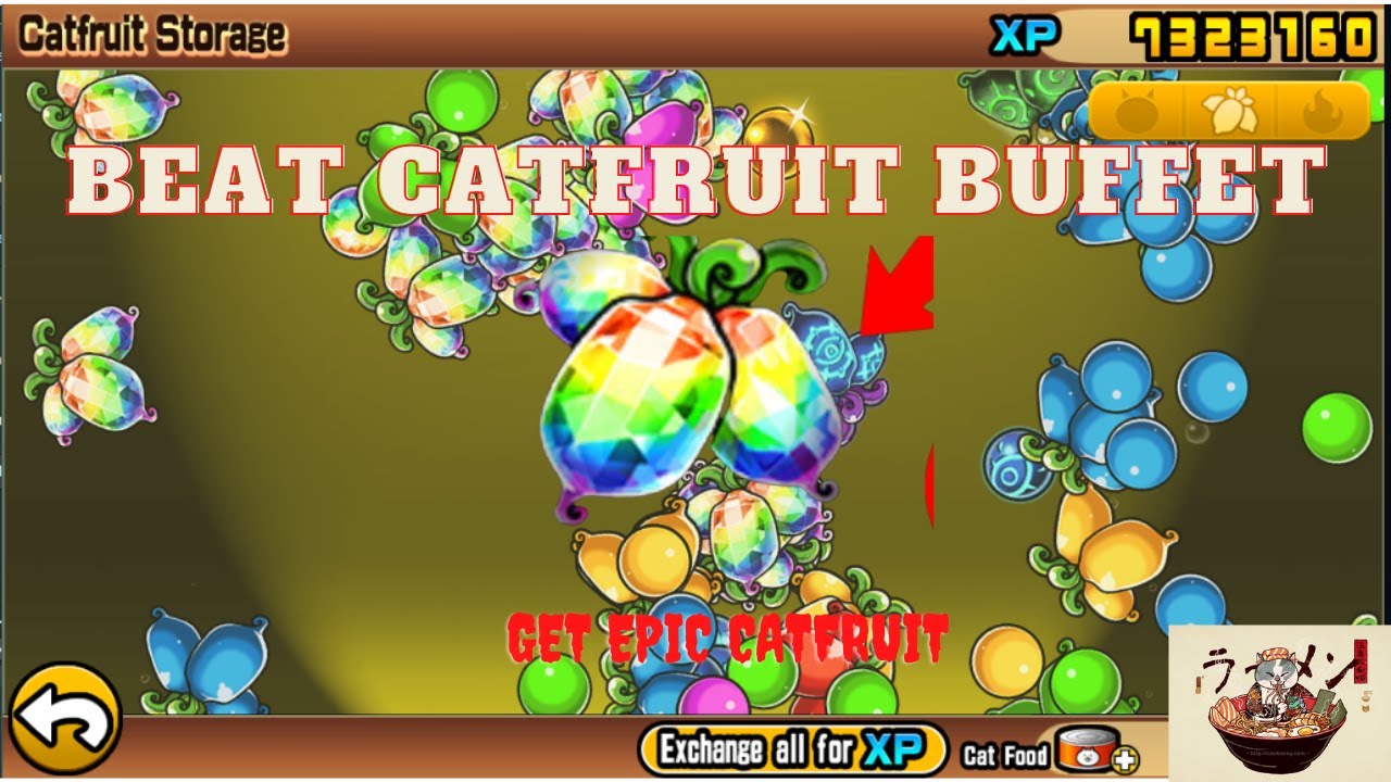 The Battle Cats How to BEAT CATFRUIT BUFFET and get EPIC Catfruit ...